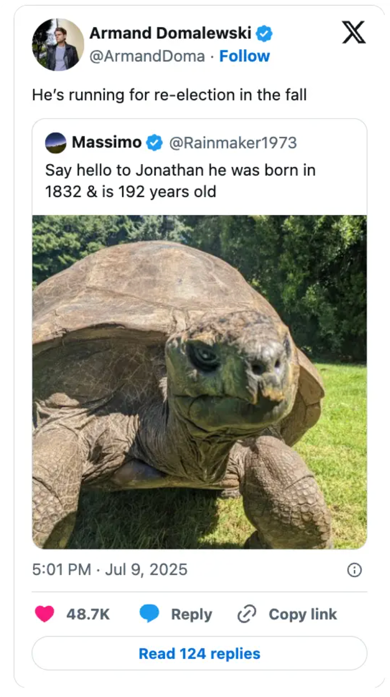 117 Top Funniest Tweets From 2025 That Honestly Saved The Year