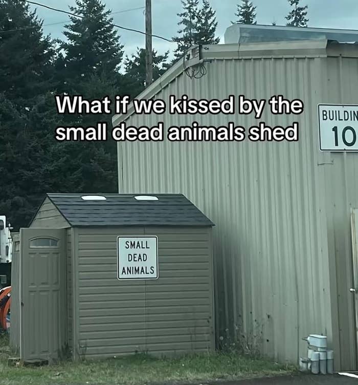 33 Extremely Dumb Pictures Captured At JUST The Right Moment That Get ...