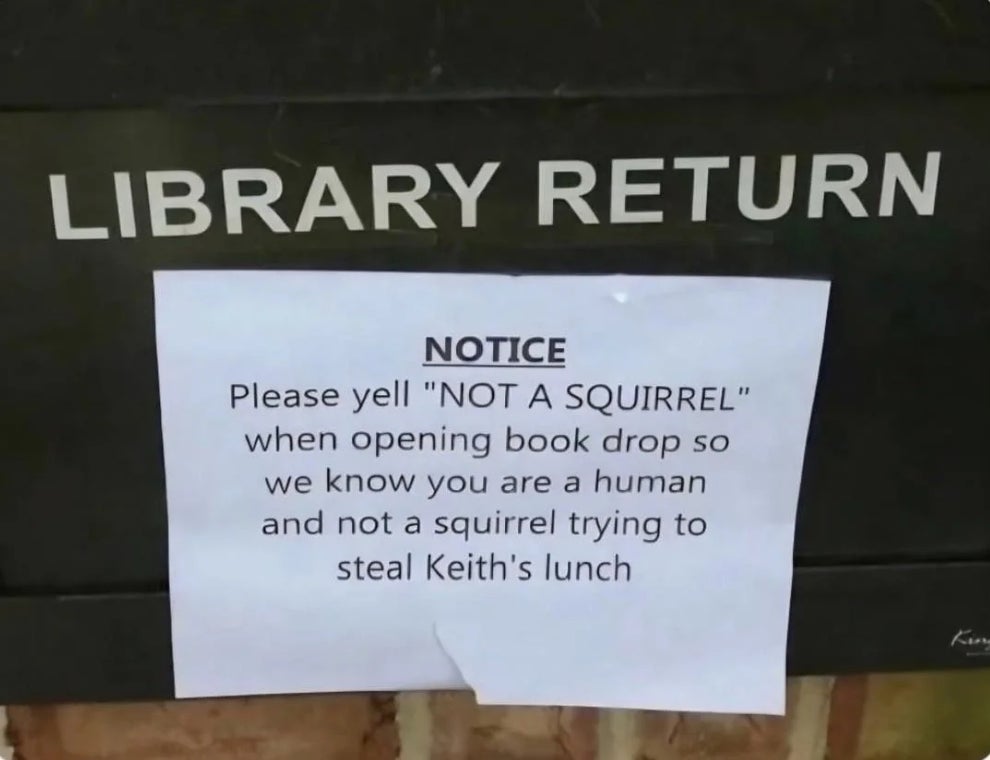 69 Hilariously Dumb Images To Make You Laugh Today