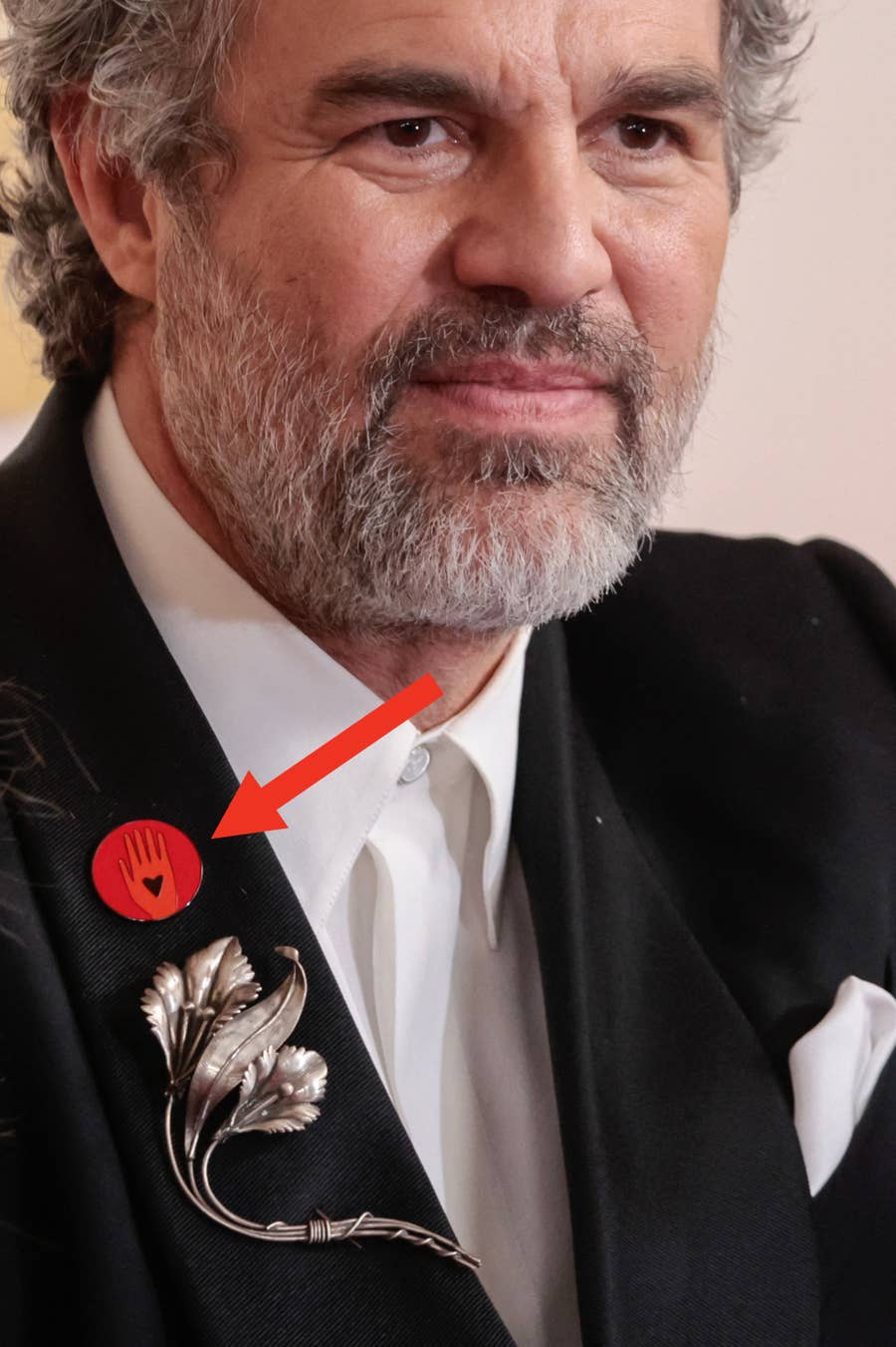 mark ruffalo red button