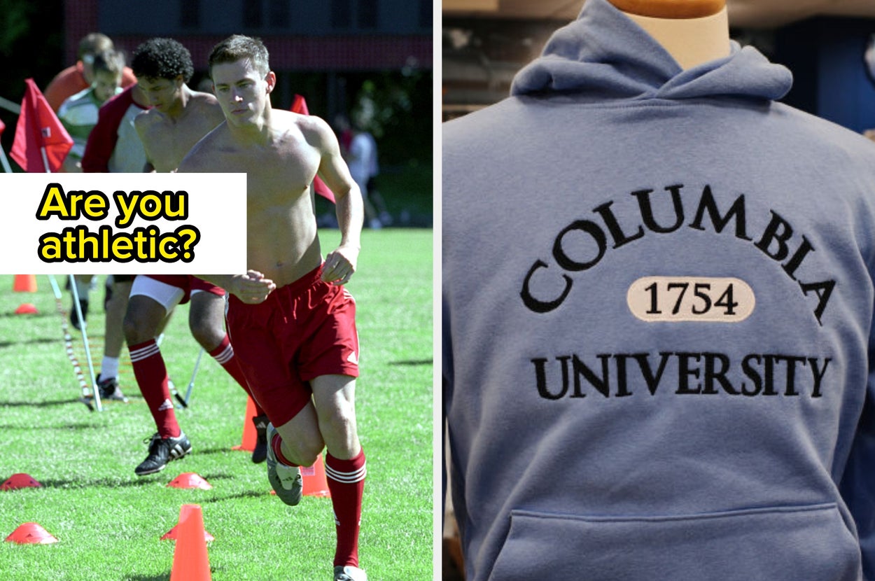 Quiz Panda: This Quiz Can Tell You What College You Are Meant For