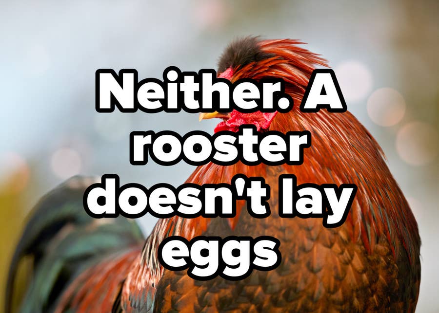 extra difficult riddles