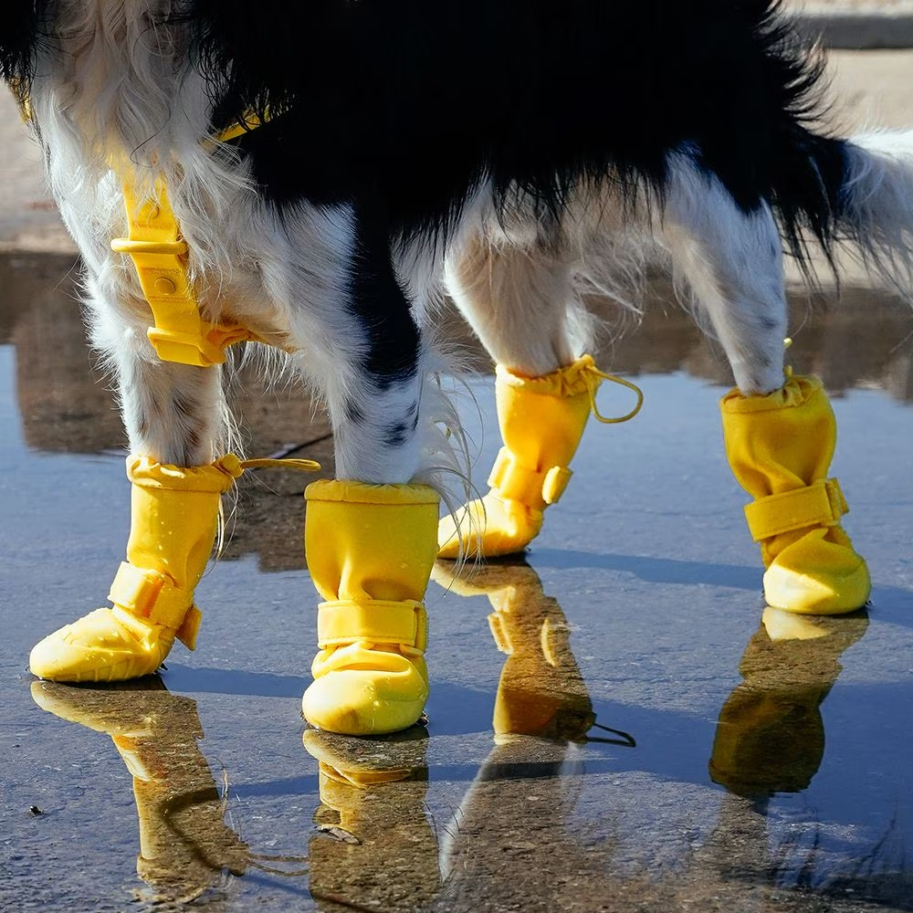 13 Best Dog Boots For Snow And The Winter