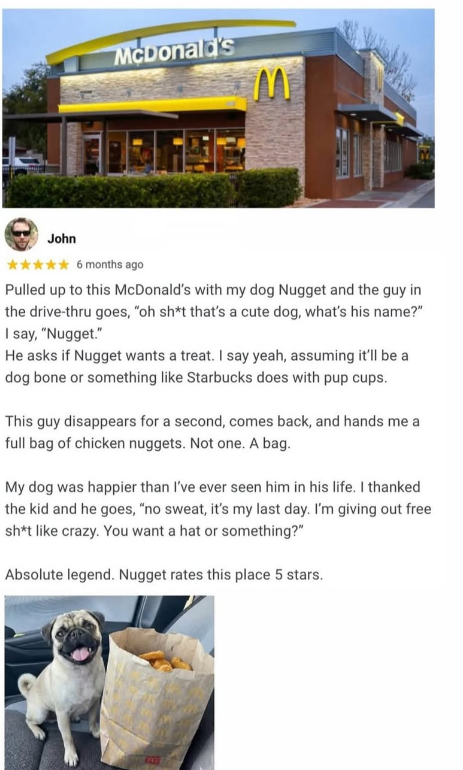 The 20 Most Wholesome Animal Posts You'll See Today