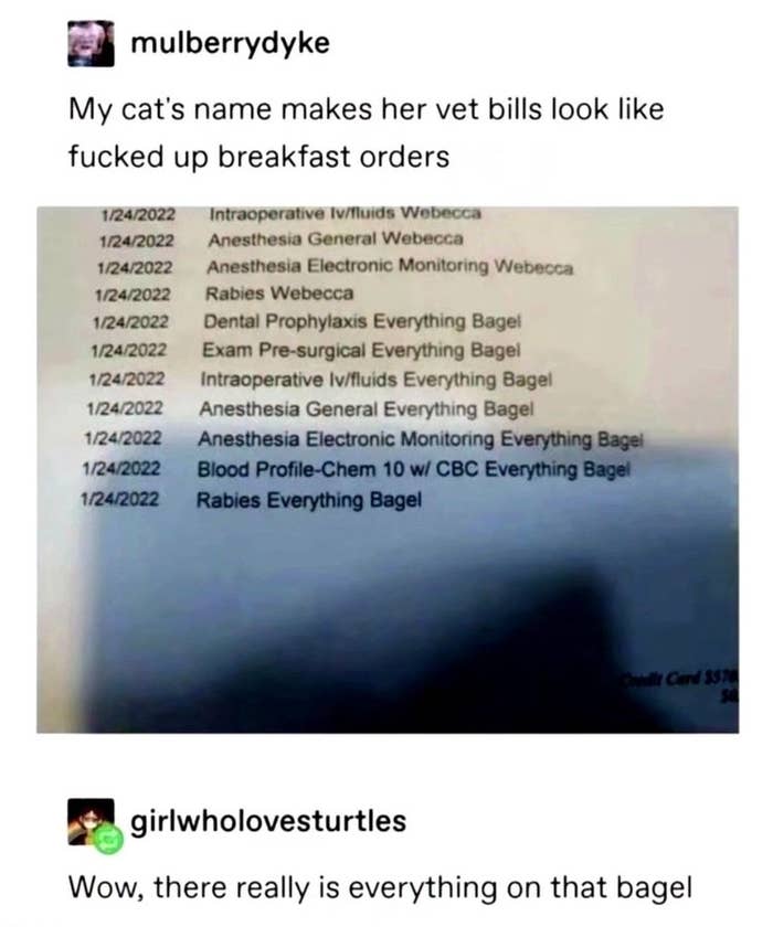 I TRULY, TRULY Was Not Prepared For How Hard I Laughed At These Random ...