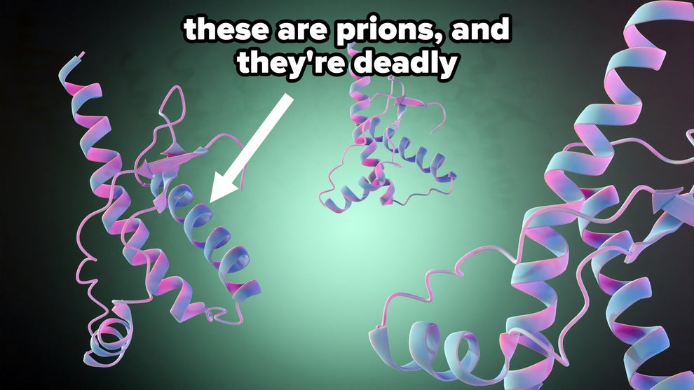 31 Scary Human Body Facts You Won't Believe Are True