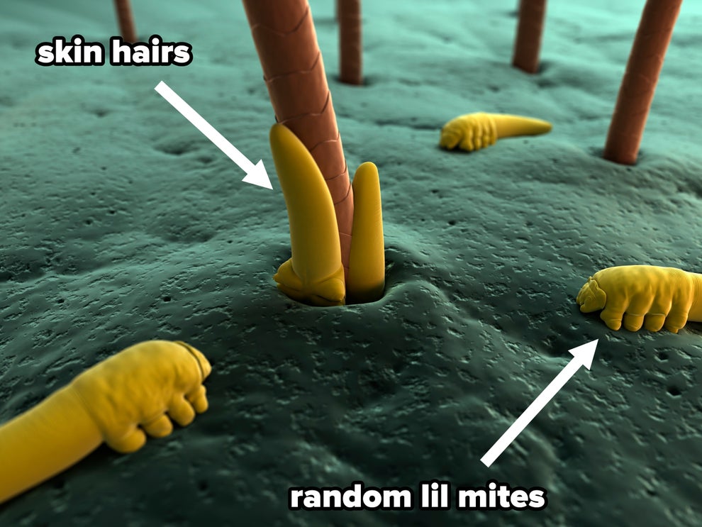 31 Scary Human Body Facts You Won't Believe Are True