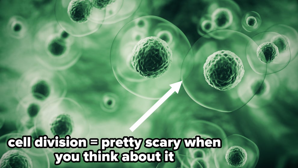 31 Scary Human Body Facts You Won't Believe Are True