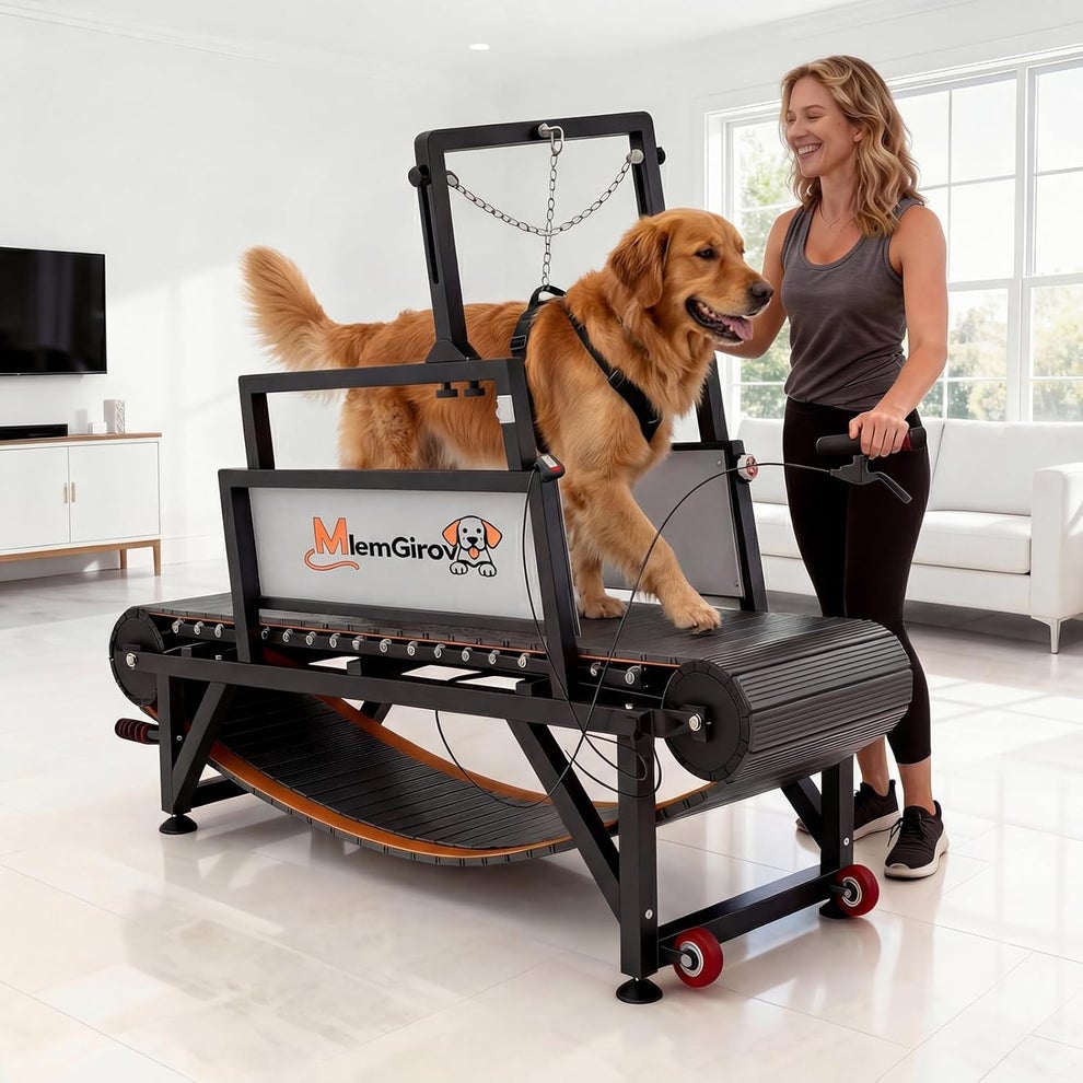 18 Best Treadmills For Dogs 2026