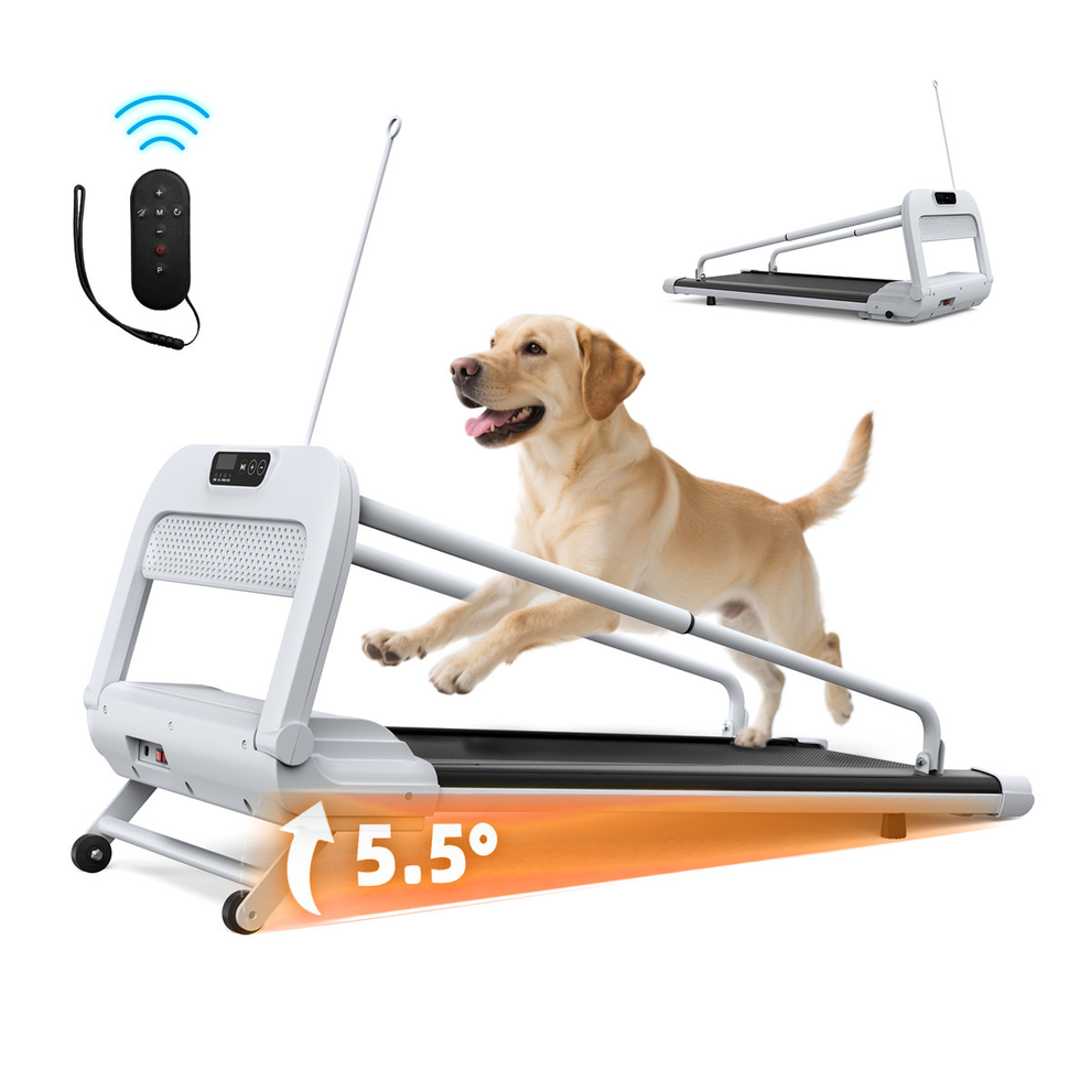 18 Best Treadmills For Dogs 2026