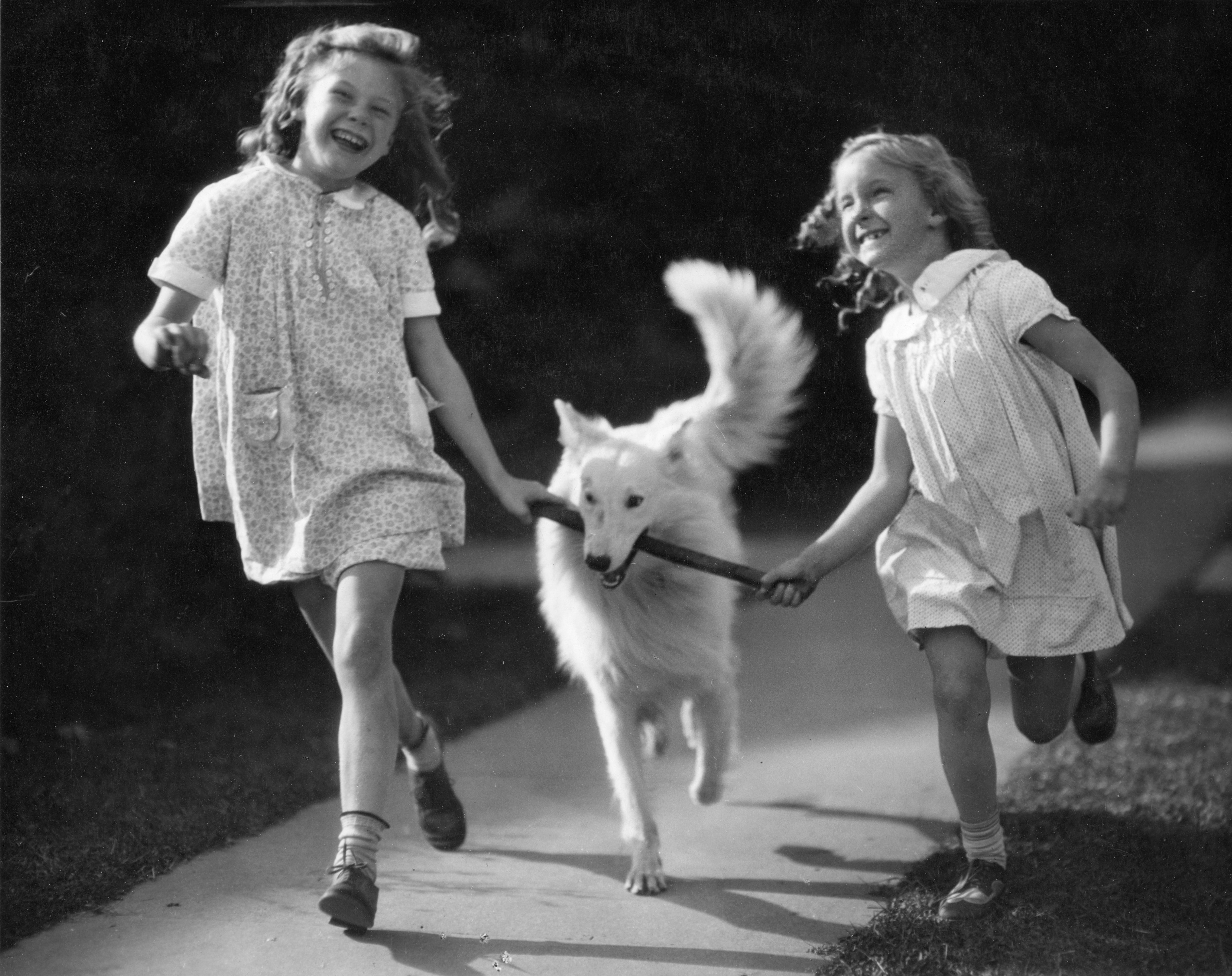 34 Vintage Pet Photos That Will Make You Smile