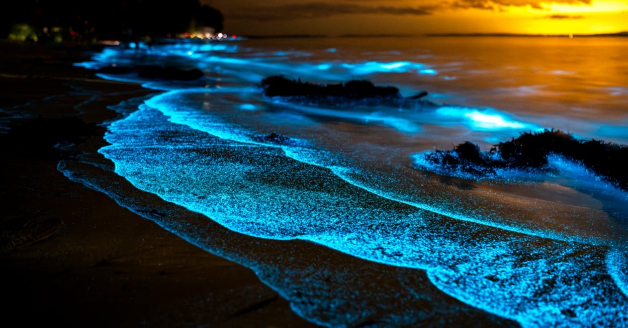 What Unusual Natural Phenomenon Matches Your Heart?