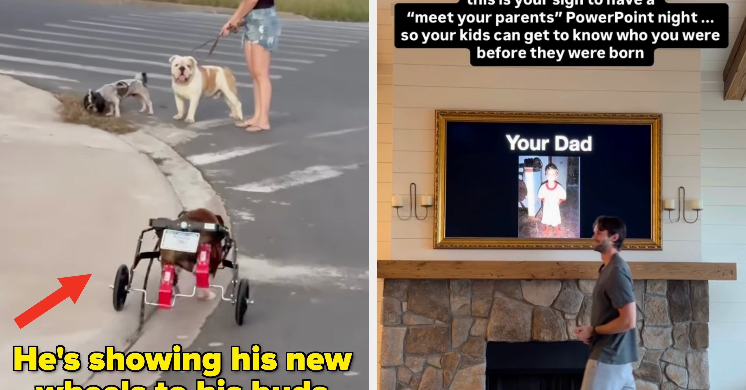 The 24 Most Wholesome Internet Posts You'll See Today