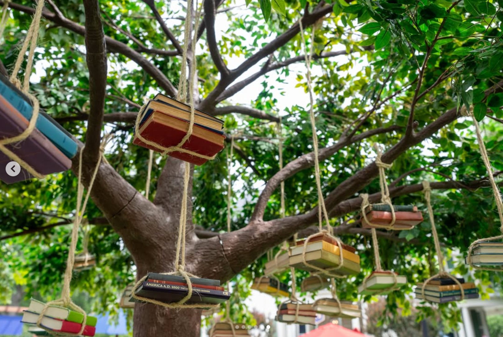Usha Vance's Bizarre Book Tree Is Going Viral For All Of The Wrong Reasons