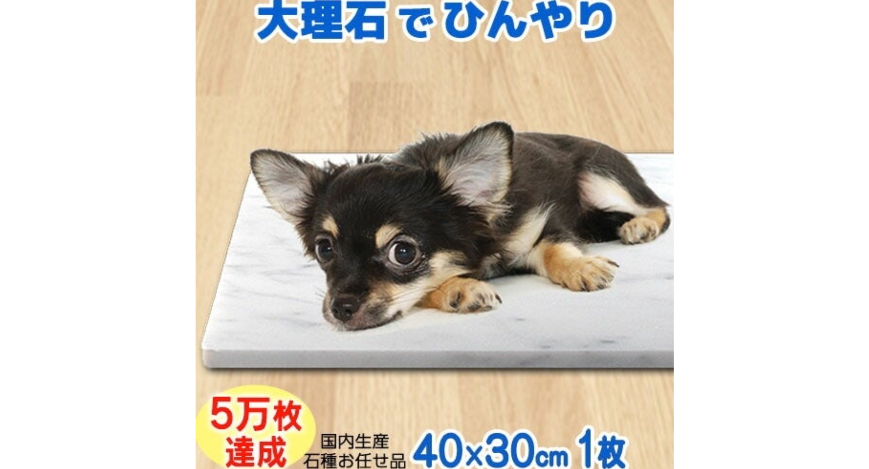 犬猫の熱中症予防に！ペットの暑さ対策グッズ5選