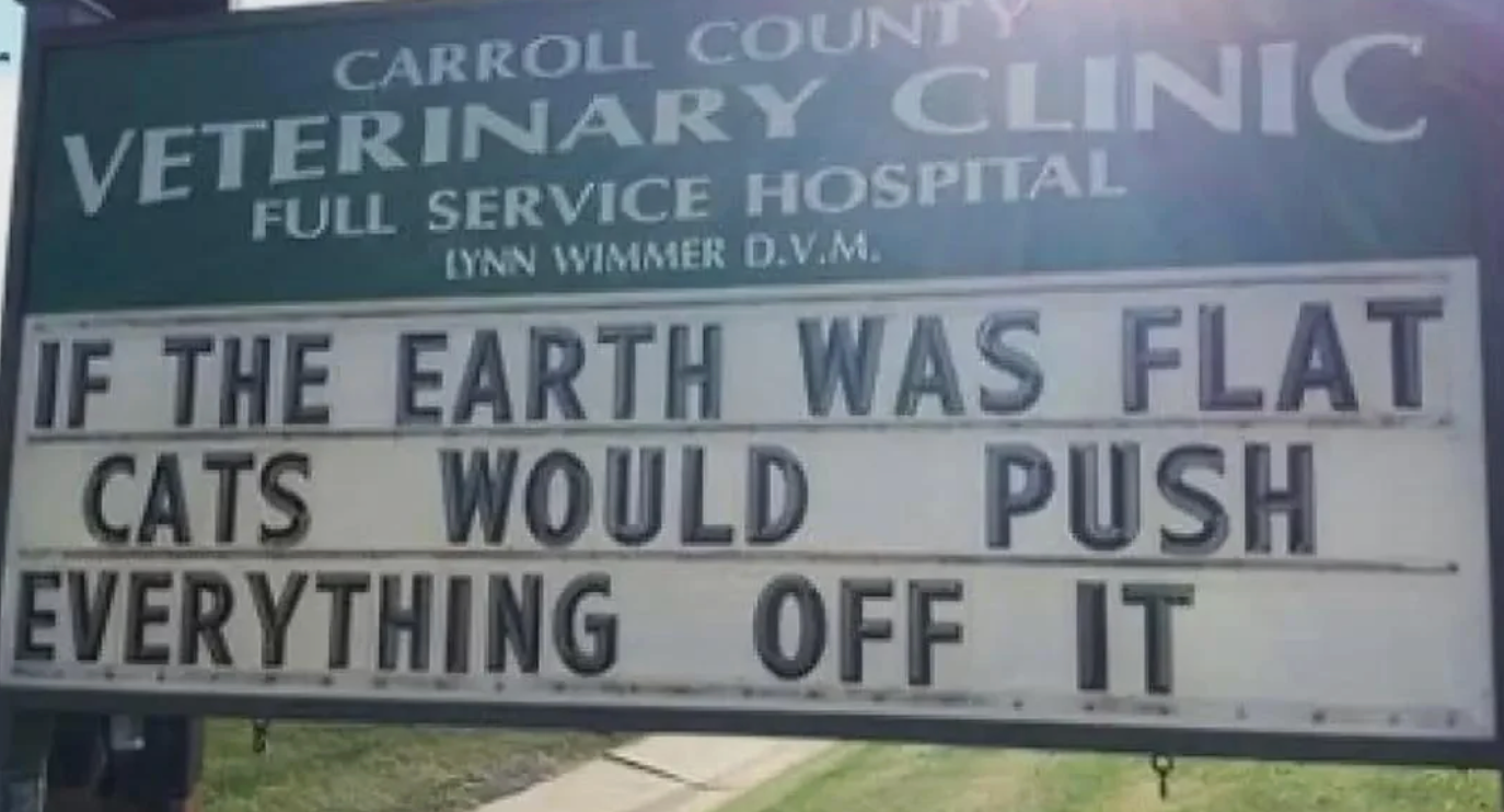 Funny Signs That'll Brighten Your Day This Week