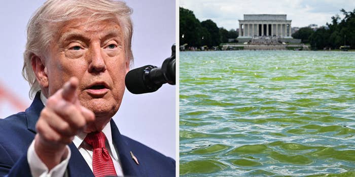 Trump's Excuses For The Reflecting Pool Renovation