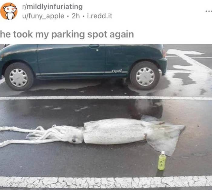 50 Unhinged Internet Posts You Have To See