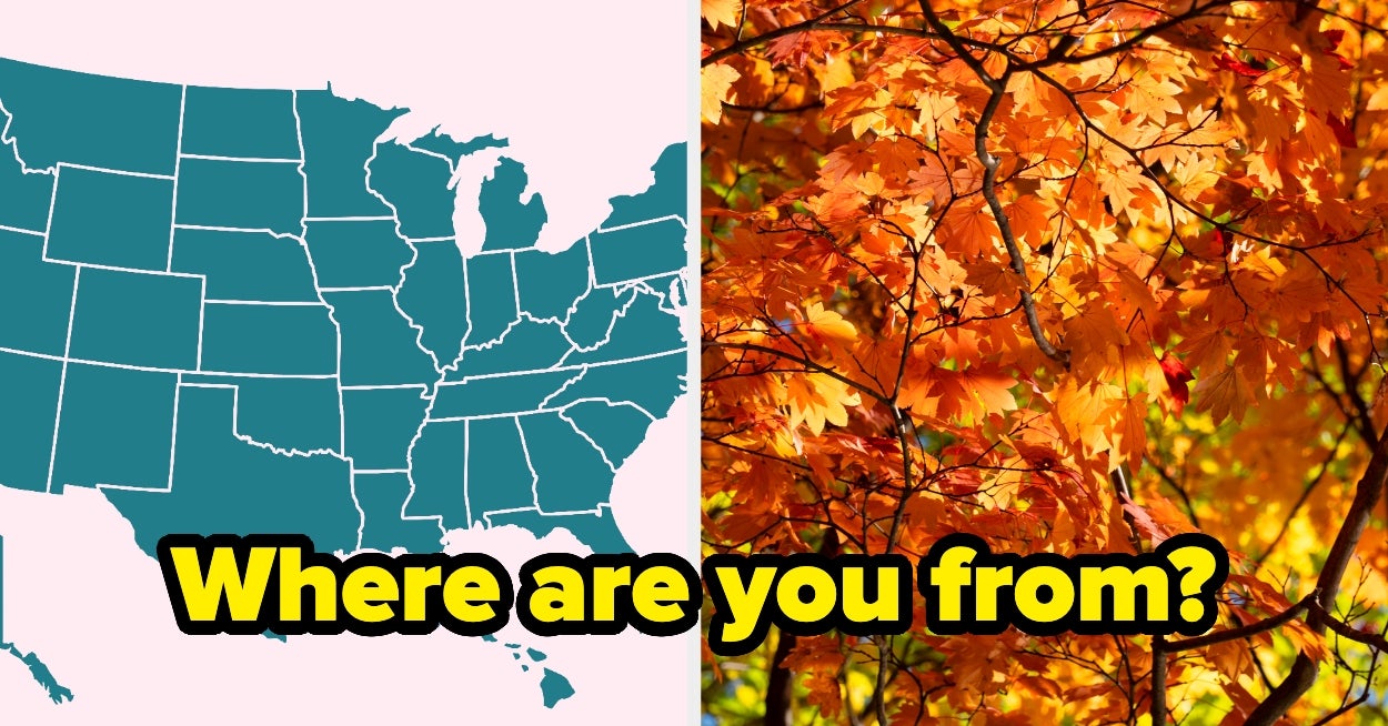 Seasonal Quiz Plan A Fall Day And Ill Reveal Where Youre From
