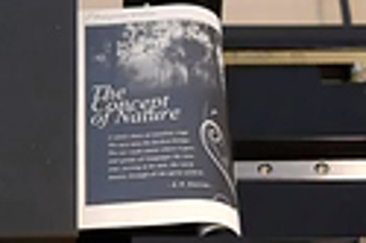 Rolling Polymer Display Is The Future