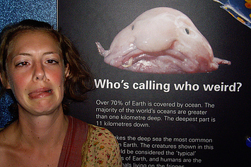 10 Reasons To Love The Blobfish