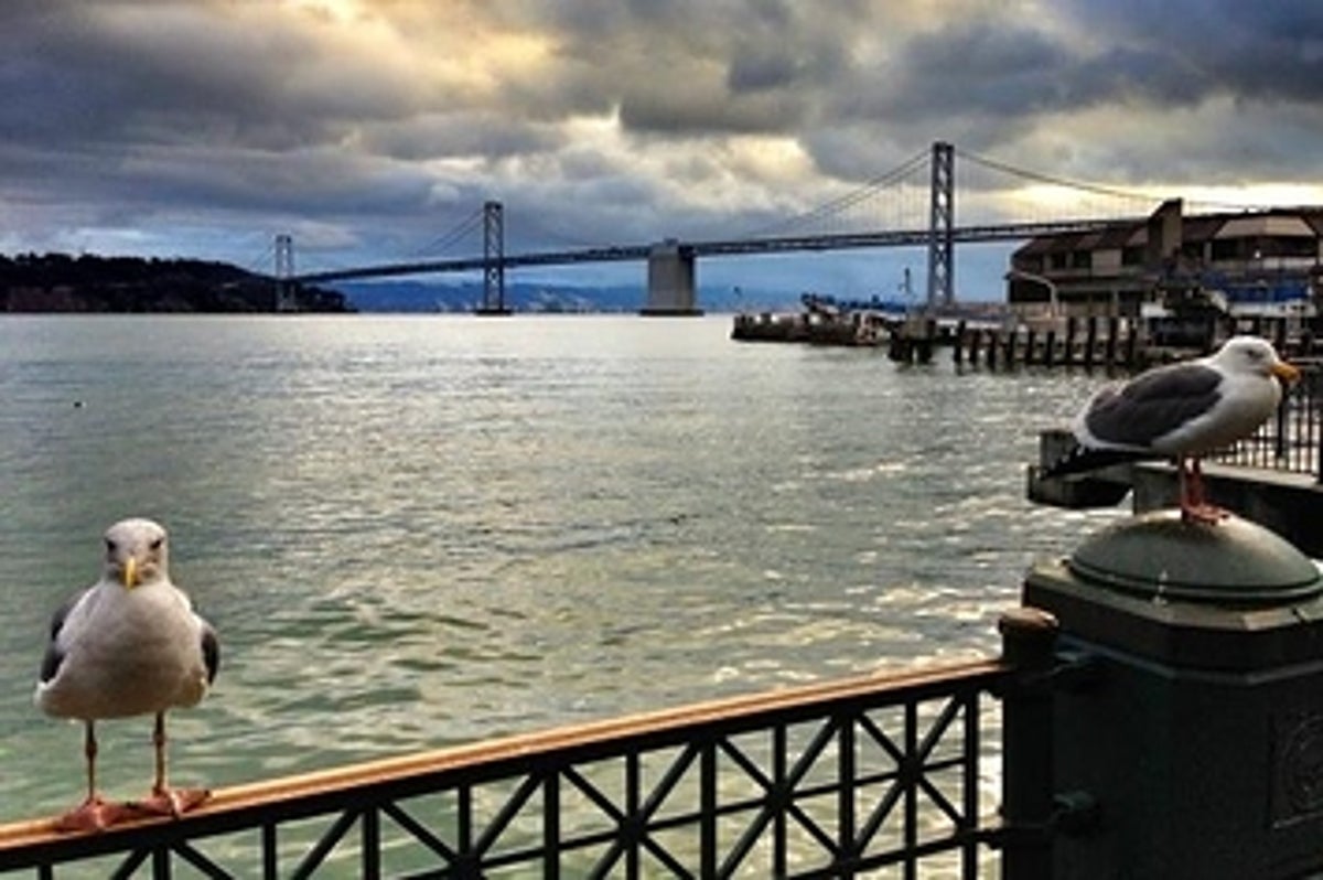 Good Morning, Jack Dorsey