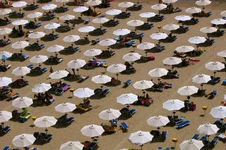 Kate Dries (kdries) on BuzzFeed