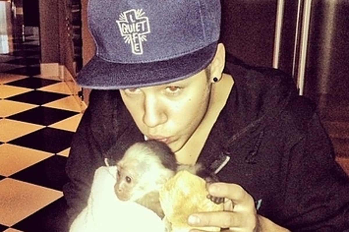 Capuchin Monkey Justin Bieber