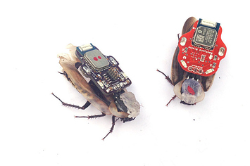 12 Dual-Use Objects You Didn't Know You Needed