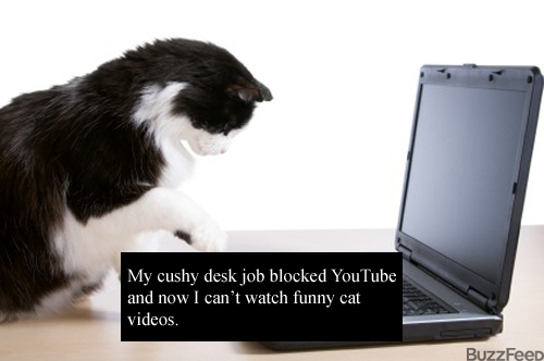 15 Examples Of First World Problems