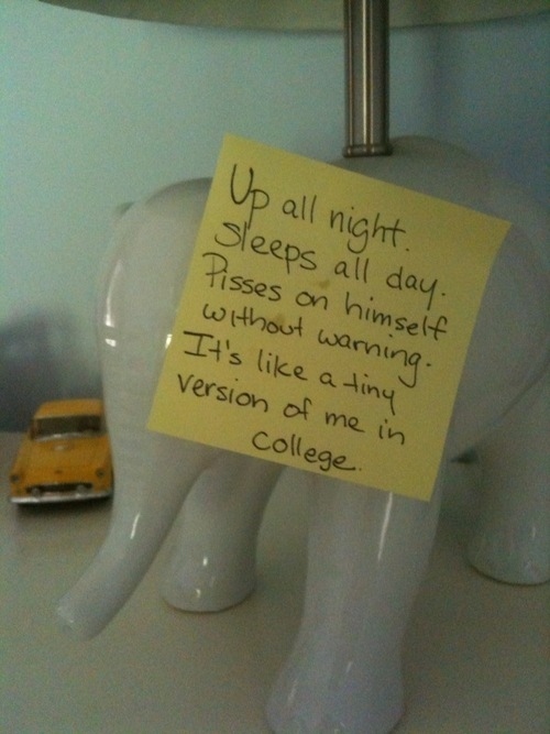 The 24 Best Notes From Message With A Bottle