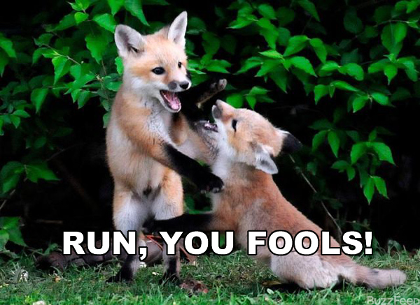 16 Examples Of "Run, You Fools!"