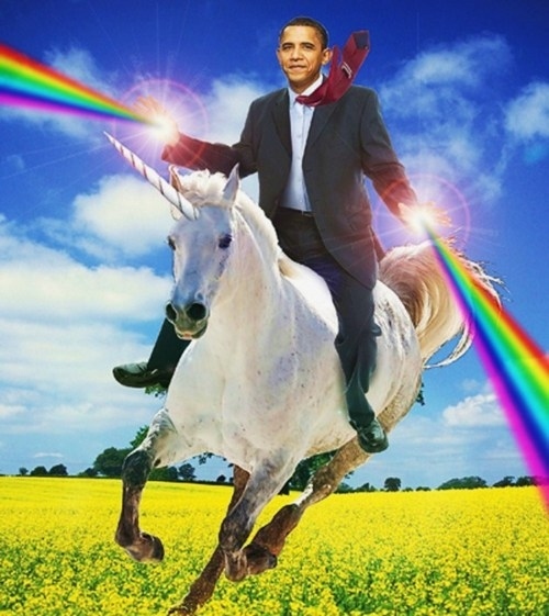 20 Best Obama Memes From The Osama Drama