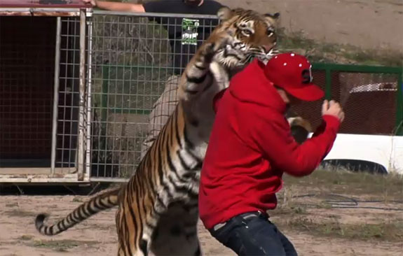 The 10 Most Ridiculous Things Rob Dyrdek Has Ever Done