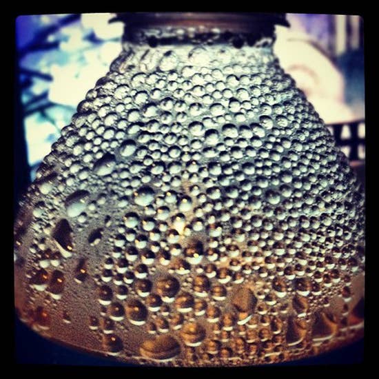 trypophobia test buzzfeed