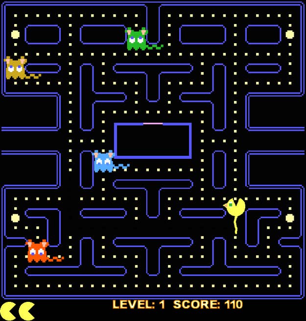 10 Classic Video Games Made Better With Cats