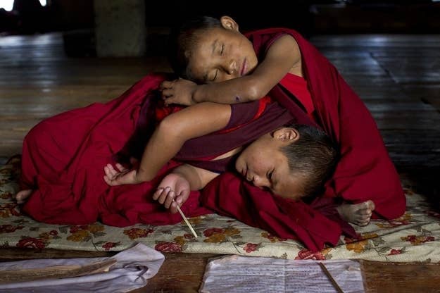 Adorable Sleeping Monks