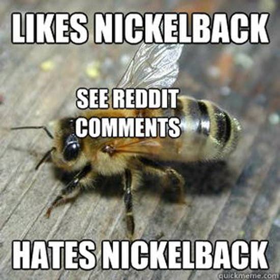 Best Of "Hivemind Bee" Meme