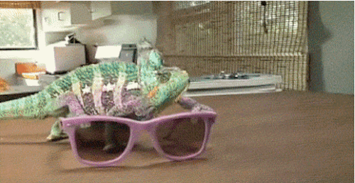 10 Animals Who've Undergone A Startling Transformation
