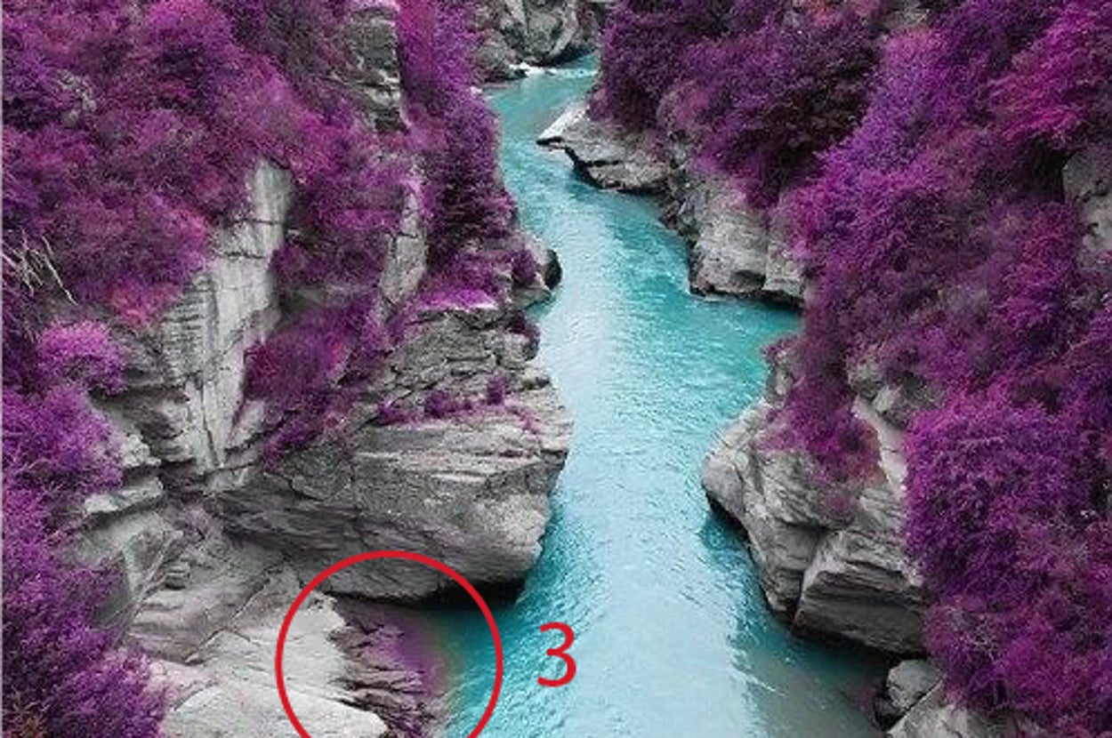 15 Viral Pinterest Photos That Are Actually Fake