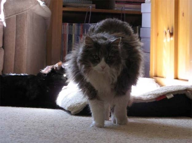 14 Ways To Style Long Hair For Fall