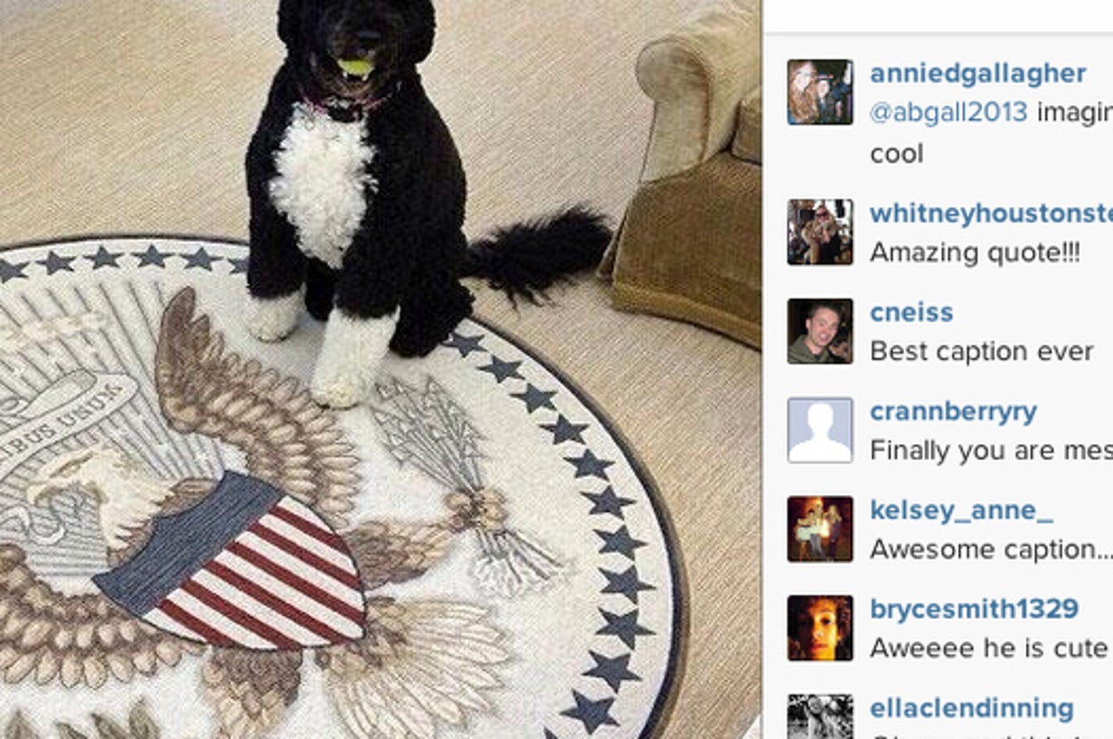 A Brief History Of The Rise And Fall Of The White House's Social Media