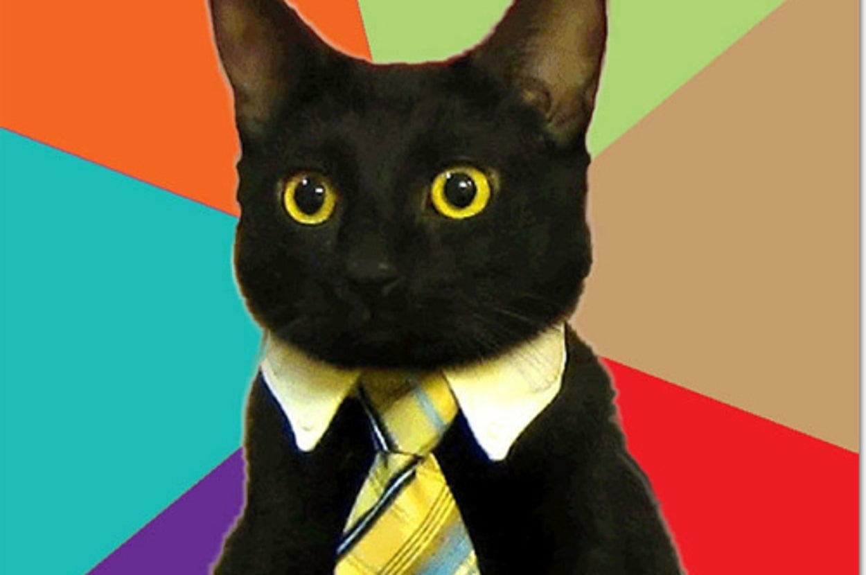 Let’s Celebrate The Resurgence Of “Business Cat“ (Updated)