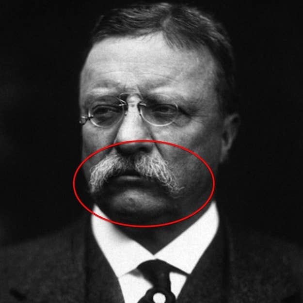 Presidential Facial Hair