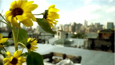 15 GIFs That Will Make You Want To Go Outside