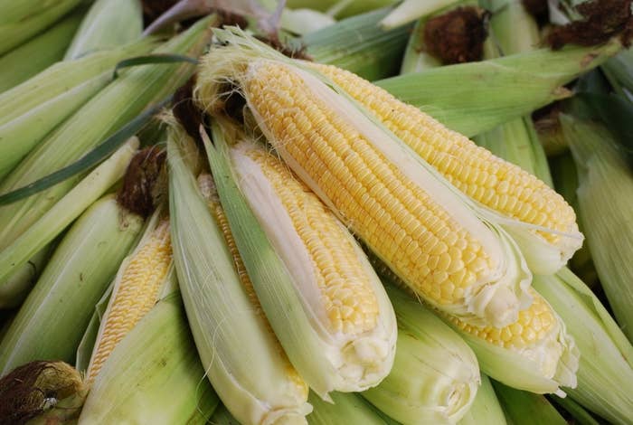There Is An Amazing Alternative To Stupid, Boring, Yellow Corn