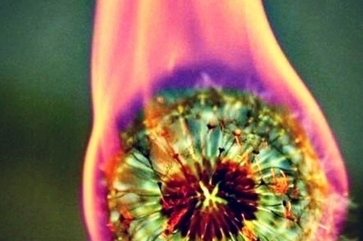 20 Popular Pinterest Tips That Are Bold-Faced Lies