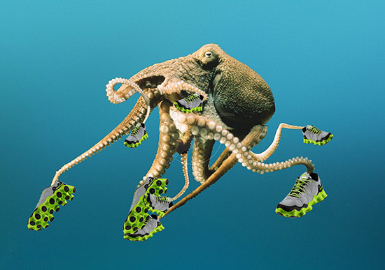 Reebok Has A Line Of Shoes For Octopi
