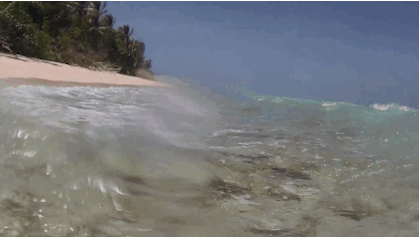 US Senator Survives On A Desert Island With His Kids, "Castaway" Style