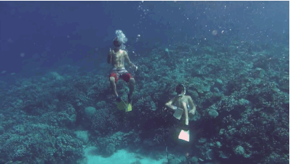 US Senator Survives On A Desert Island With His Kids, "Castaway" Style